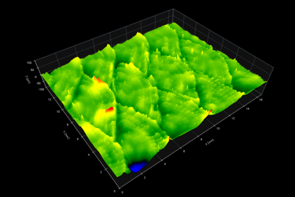 Fish Scales — American Shad (Alosa Sapidissima) - Digital Metrology
