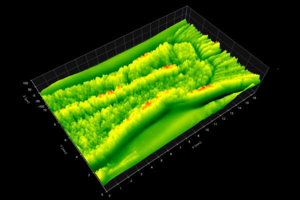 Fish Scales—Splitfin Flashlight Fish (Anomalops Katoptron) - Digital ...